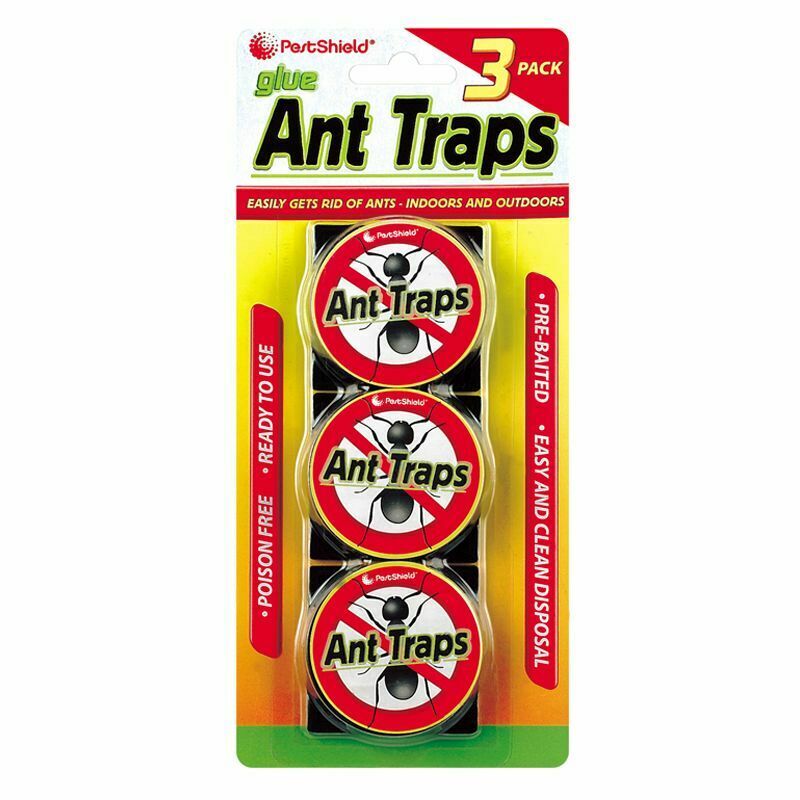 PestShield Glue Ant Traps 3 Pack-Case of 12 Wholesale
